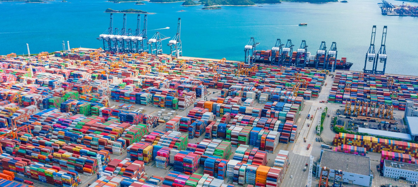 Macro Insights Weekly: Trade distortion/diversion