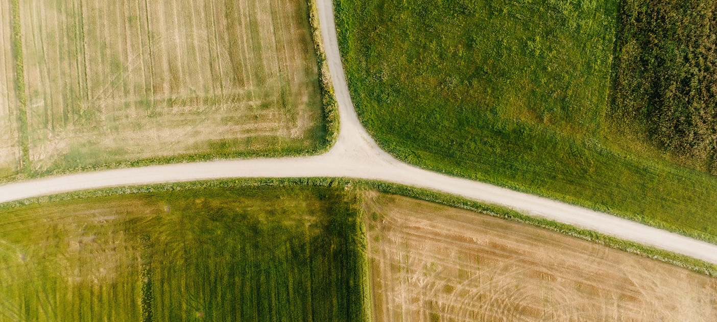 Divergent Paths for the Fed and ECB